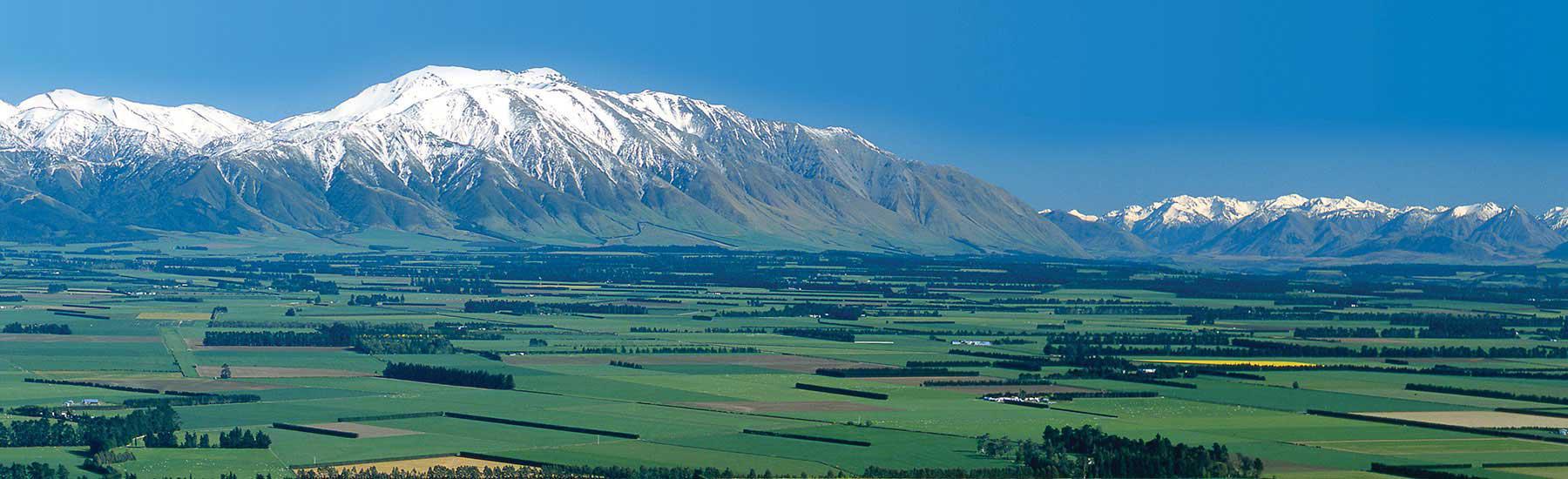 Orion AgriScience is a leading supplier of crop protection and animal ...