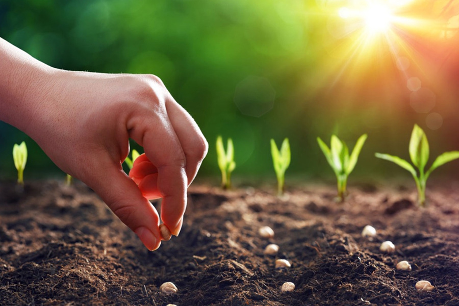 Orion AgriScience is a leading supplier of crop protection and animal ...